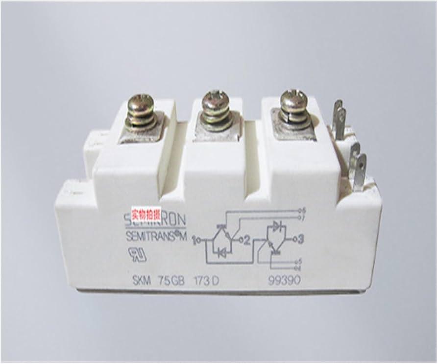 Powering the Future: The FUJI/Infineon IGBT Transistor Module – TST ...