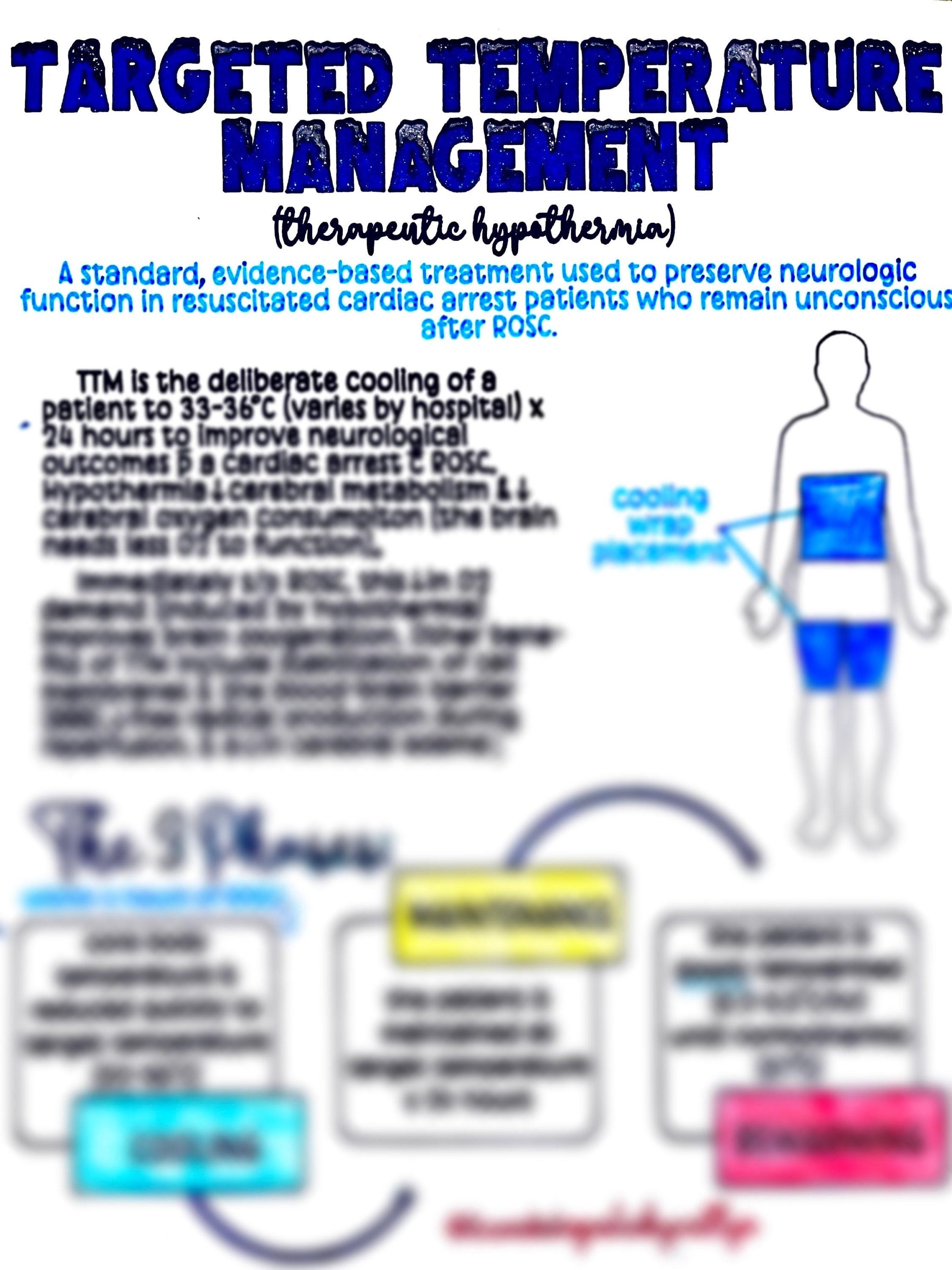 Mastering Temperature Regulation: The Omron Controller Guide – TST ...